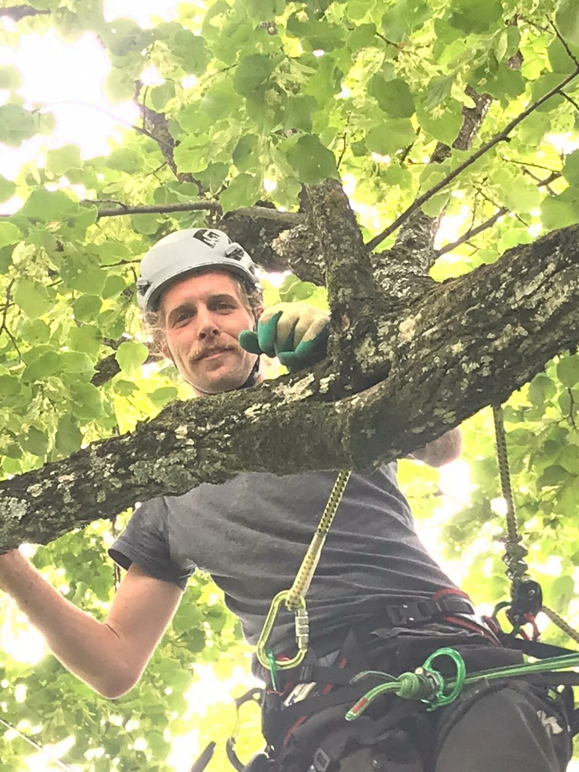 Über Uns – FREIRAUM – Garten · Baum · Forst